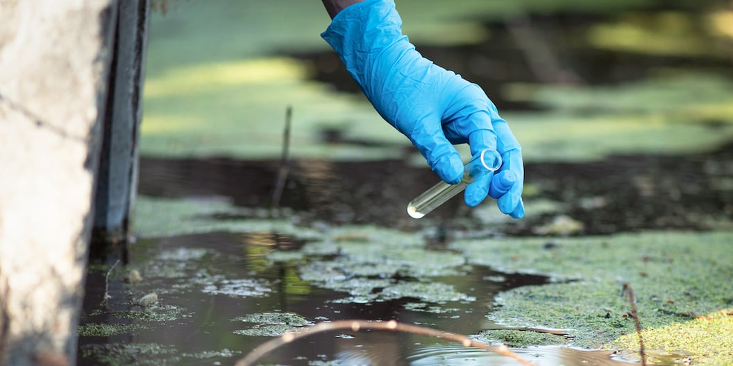 Meet the 2024 Student Water Prize finalists