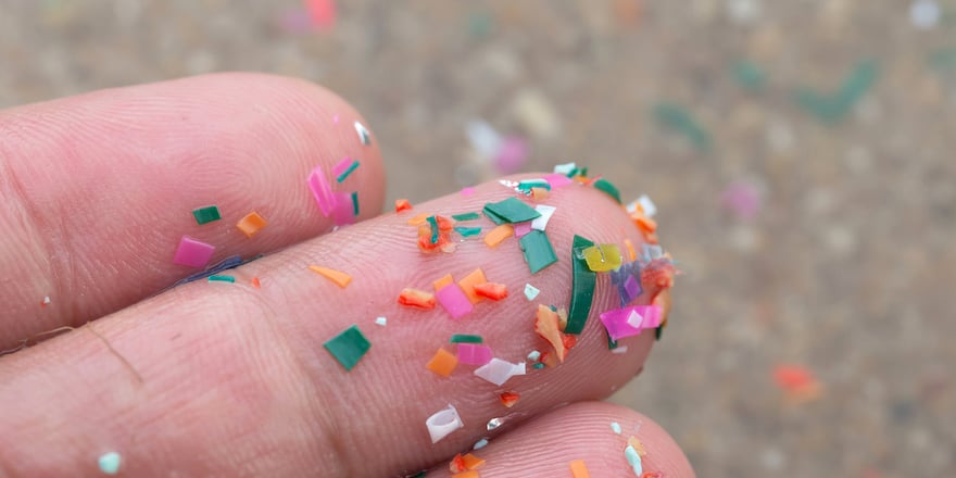 Constructed wetlands act as microplastic sinks, new study finds