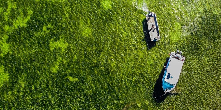 World-first treatment technology set to tackle nutrient runoff in the ...