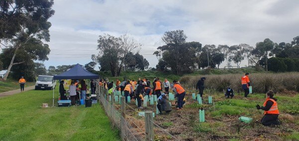 The AWA VIC Tree Planting Day: A Community Triumph for the Altona ...