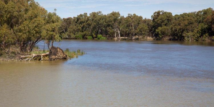 Gold rush "sand slug" choking Murray-Darling