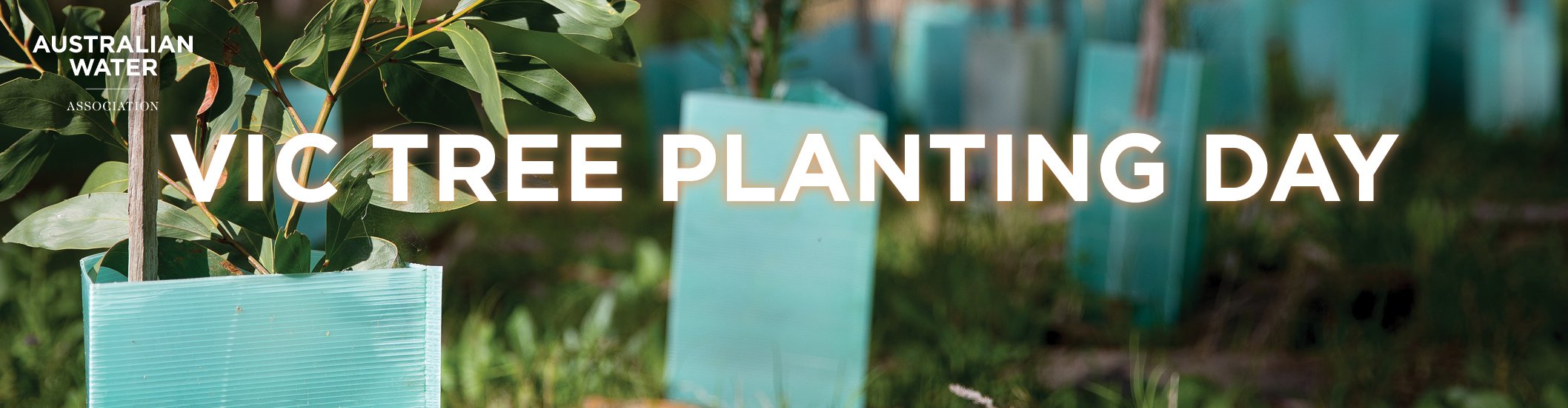 VIC 2024 Tree Planting Day