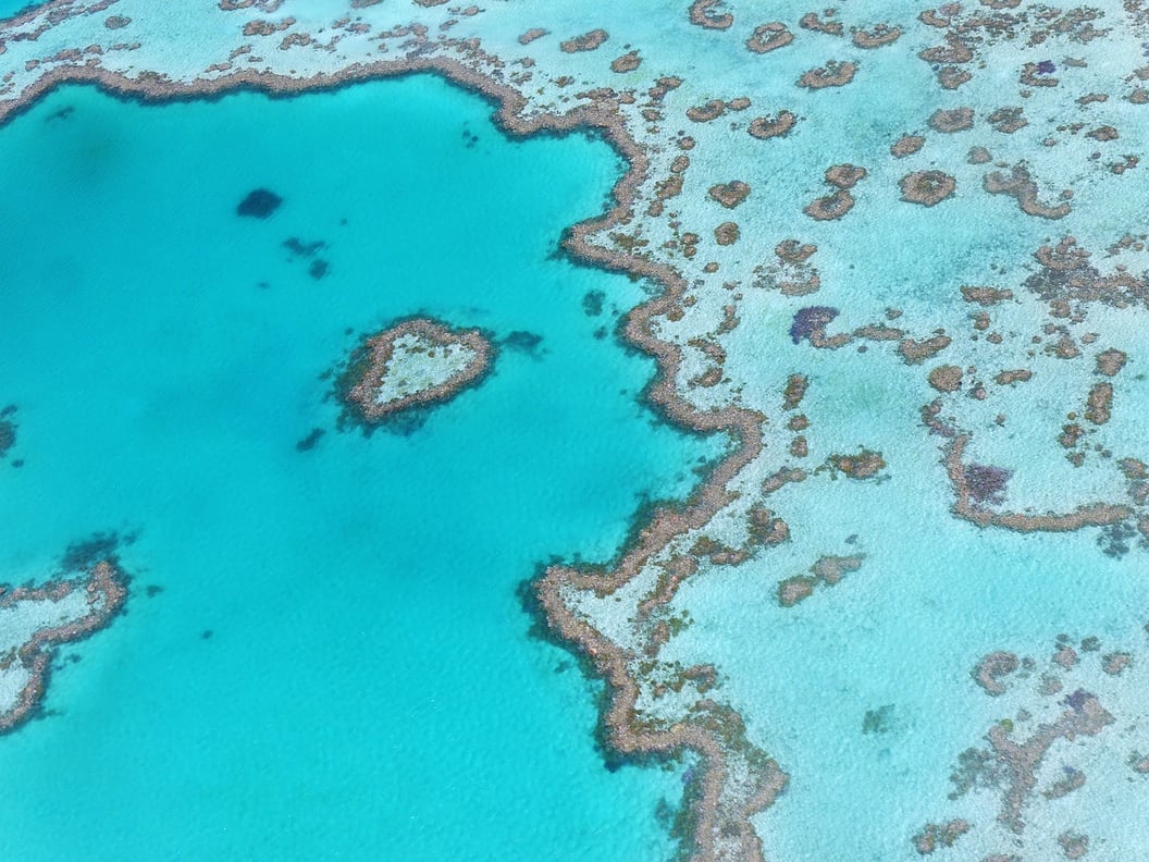 World-first treatment technology set to tackle nutrient runoff in the ...