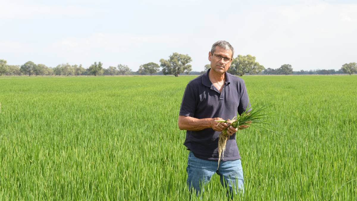 NSW State Conference 2024