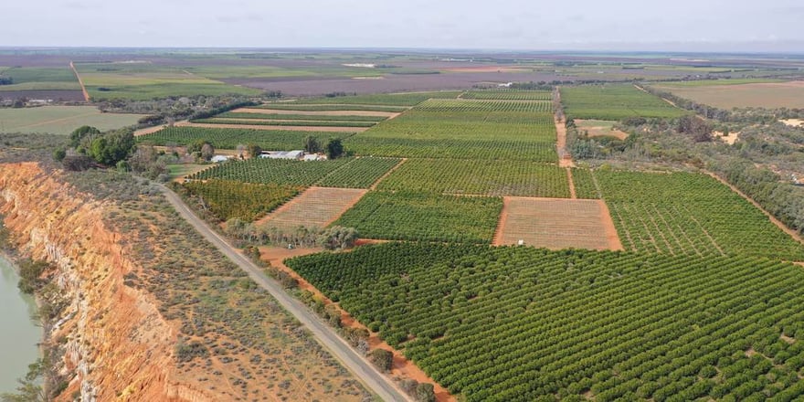 Different farmers have different needs: customising reclaimed water for ...