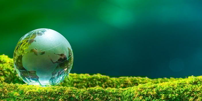 Sustainable Development Goals fact sheet